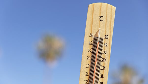 Vigilance rouge canicule - Actualités - Conservatoire La Rochelle